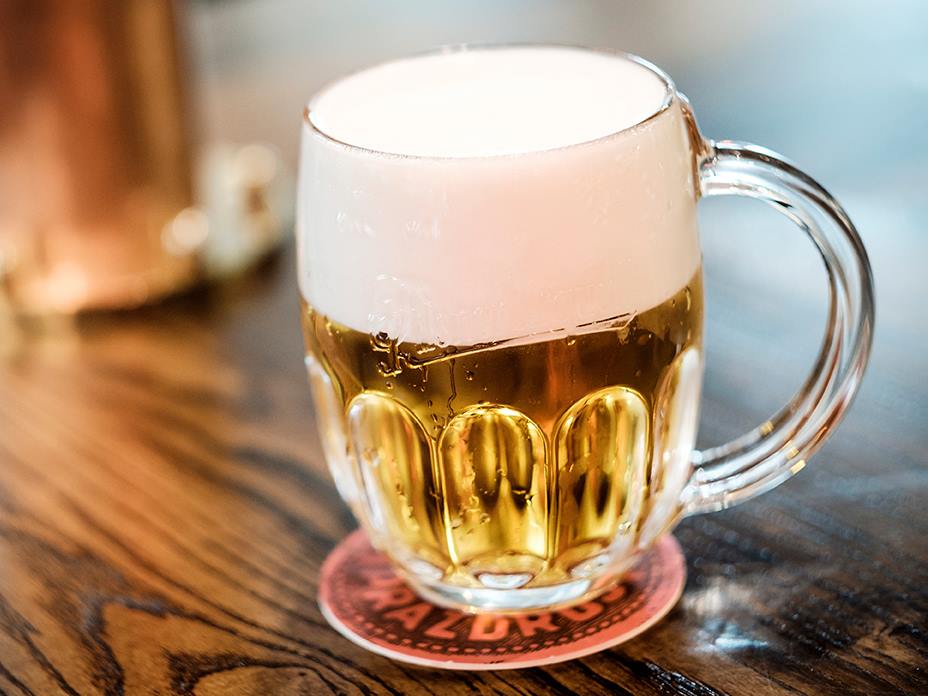 Top 10 Argentine Craft Beers & Breweries in 2026 | Top10Grid